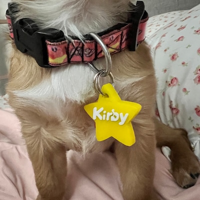 Custom Acrylic Dog Tag, Personalized Dog Name Tag, Dog ID Name Tag ...