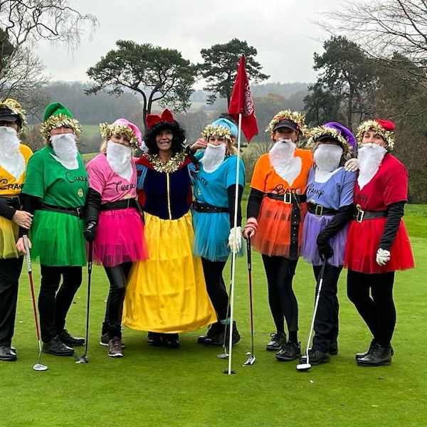 Funny Dwarf Shirts, 7 Dwarfs of Menopause, Group Dwarfs Shirts ...