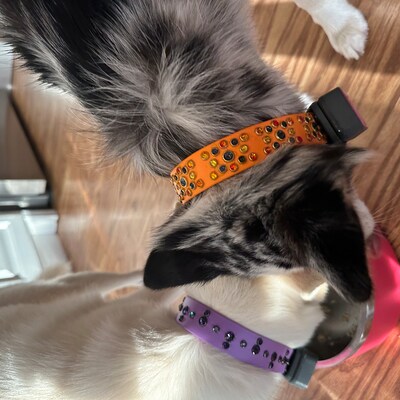 9.5-12.5 Pink Gradient on Pastel Pink Biothane With Magenta Border ...