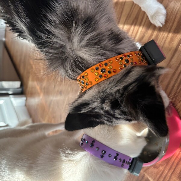 15-18 Swirl Design on Teal Beta Biothane Luxury Crystal Bling Dog ...