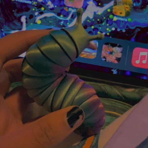 Rainbow Slug Large | 3D Printed Slug | Multicolor Slug Slinky | Fidget ...
