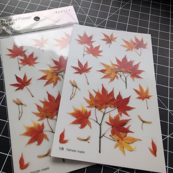 Cherish Sticker Sheets by Mind Wave Cute Kawaii Baby Animals Rabbit ...