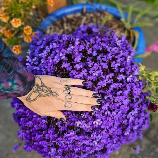 His and Her Mystic Topaz Galaxy Ring Set, Cass Supernova, Black ...