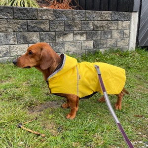 Dogs Clothes Warm Jacket for Beagle Warm Jacket Clothes for | Etsy