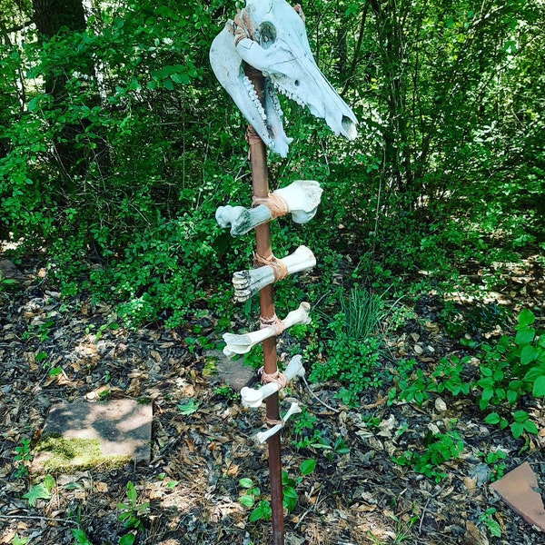 Bone "crown of Thorns" -- Fish Skeleton Tiara/headband With Gold ...