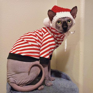 Elf Hat for Cats | Etsy