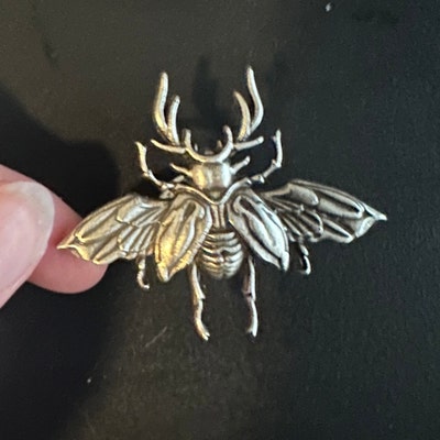 Silver Natural Shell Drawer Knobs / Natural Shell Cabinet / - Etsy