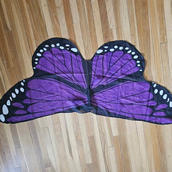 Mini Butterfly Wings: Preschool or Petite Costume With Wrist Loops ...