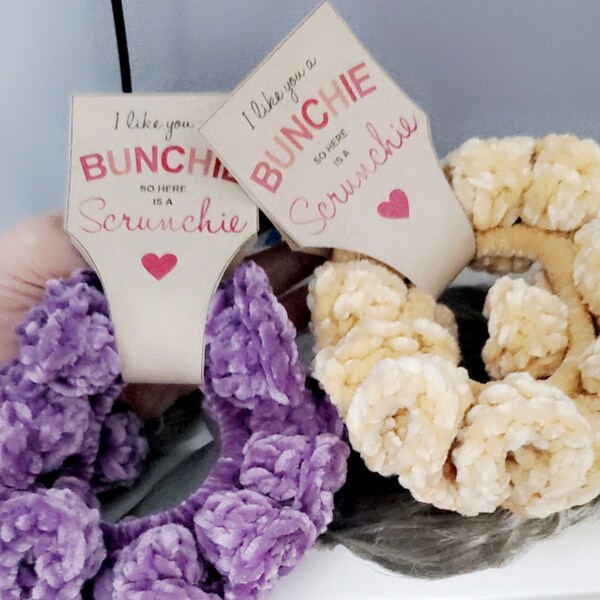 Scrunchie Valentines. Girl Teen Tween Hair Tie. Like You a Bunchie Here ...