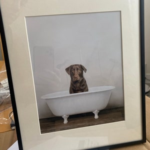 Baby Elephant Art Print Elephant Print Safari Animal Art by - Etsy