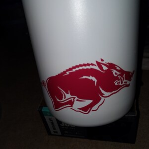 University of Iowa Hawkeye Tigerhawk in Flower Vinyl Decal | Etsy