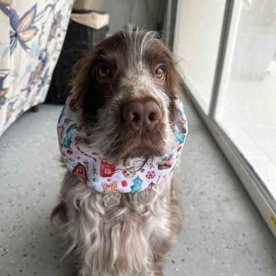 Waterproof Thick Dog Snood Swimming Cap for Dog Dog Hat - Etsy