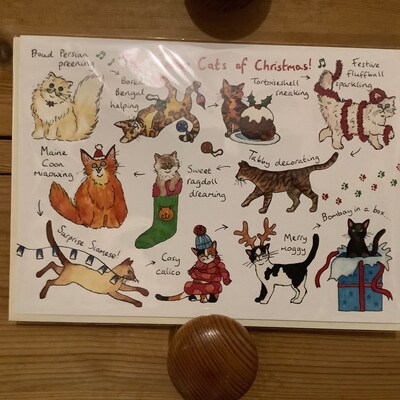 The Twelve Cats of Christmas... A Christmas Card for Cat Lovers - Etsy