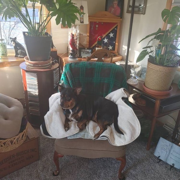 Navajo Rainbow God Sand Painting 8 X 8 Art Tile - Artist Signed - Etsy