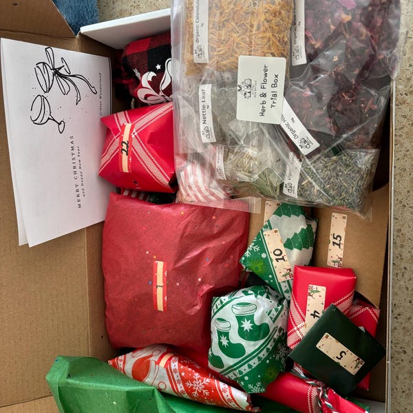 Hamster Treat Trial Box - Etsy