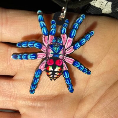 Brazilian Jewel Tarantula Typhochlaena Seladonia Wooden Pendant and ...