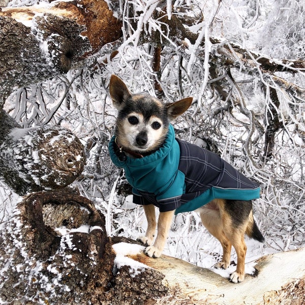 Beaded Fish Earrings, Sockeye Salmon Earrings, Rainbow Trout Earrings ...