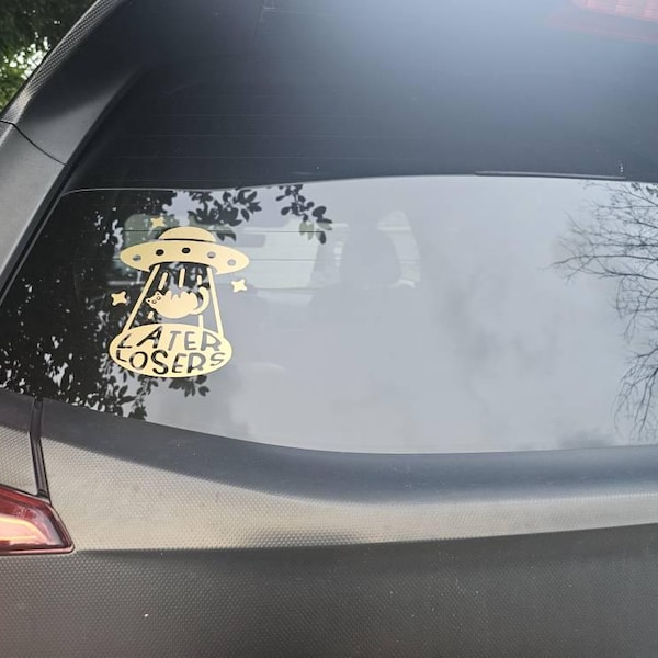 Silly Goose on Board Decal, Car Decal, Funny Bumper Sticker, Trendy ...