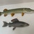 Halibut Fish Blank, 16-20 Inches 3D Wall Mounted Fish Blank, One Side ...