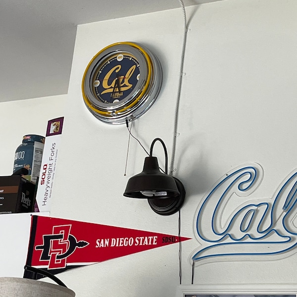 Michigan State University Logo Wall Mirror | MSU Spartans Decor - Etsy