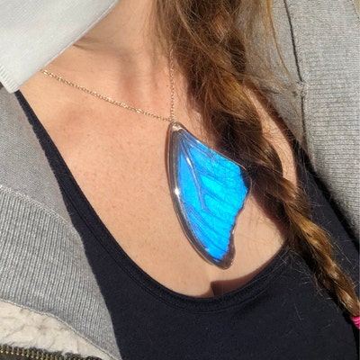 Real Butterfly Wing Choker / Leather Wrap Choker / Real Insect - Etsy