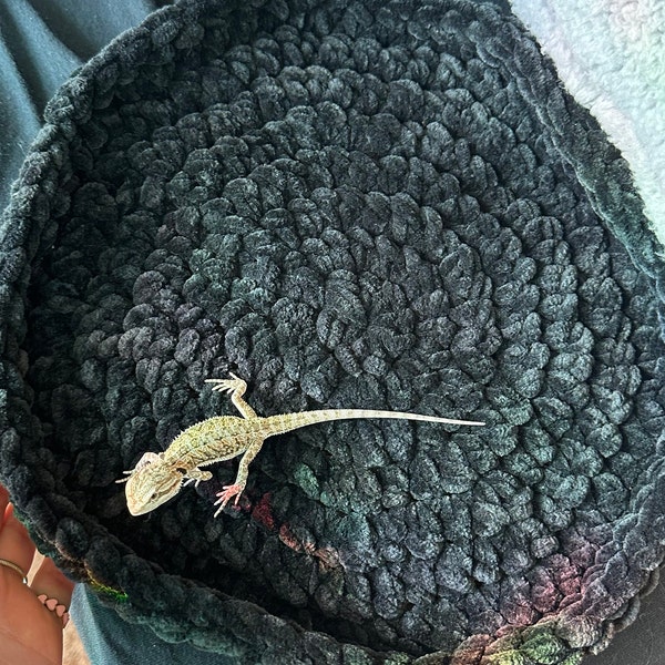 Small Reptile Beds for Leopard Geckos - Etsy