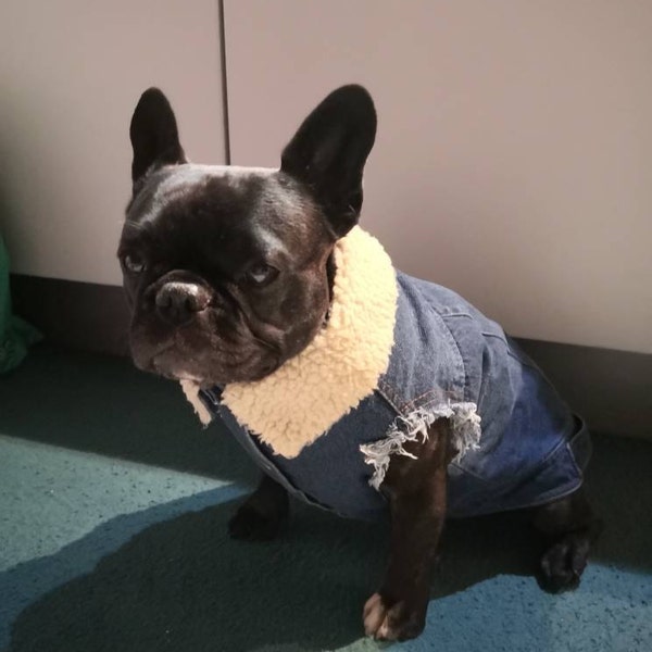 Denim Dog Vest / Dog Jacket / Sherpa Denim Dog Coat / Dog Denim / Cool ...