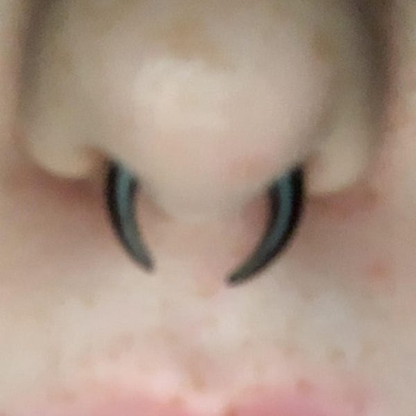 Natural Black Onyx Septum Tusk, Tribal Septum, Septum Pincher Jewelry, Handmade Size:14g (2mm)to ...