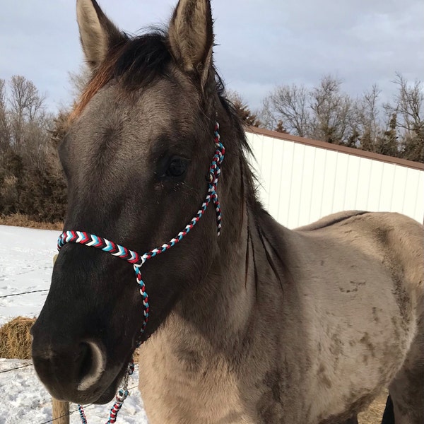 Teal, Red, and Black Reins - Etsy