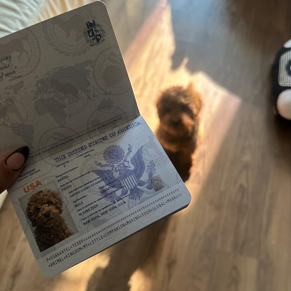 The Pet Pass 50 US State Stamp Stickers - Etsy