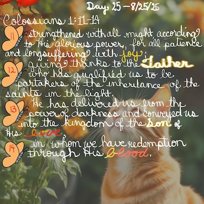 10 Procreate Brushes, 15 Lettering Practice Worksheets, Learn Bouncy ...