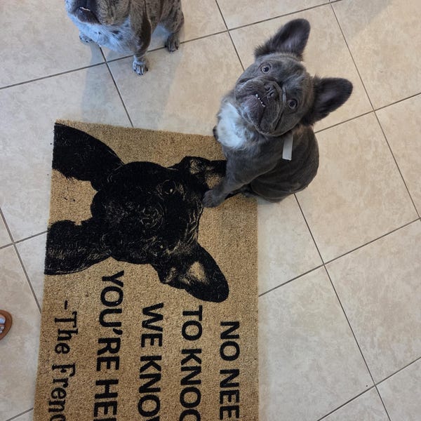 American Bully Door Mat, Funny We Know You ARE Here Door Mats, American ...