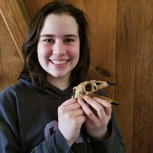 Aztec Death Whistle the Raven Aztec Death Whistle, Mayan Death Whistle ...