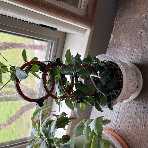 Interlocking Circle Indoor Plant Trellis - Etsy