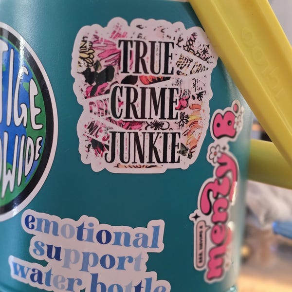 There is No Planet B Sticker / Climate Change Sticker / Earth Sticker ...