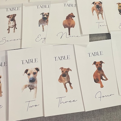 Custom Pet Table Numbers - Etsy