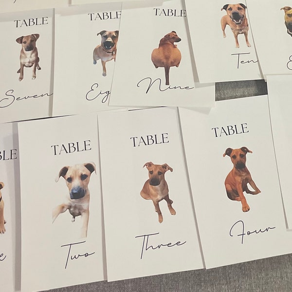Custom Pet Table Numbers - Etsy