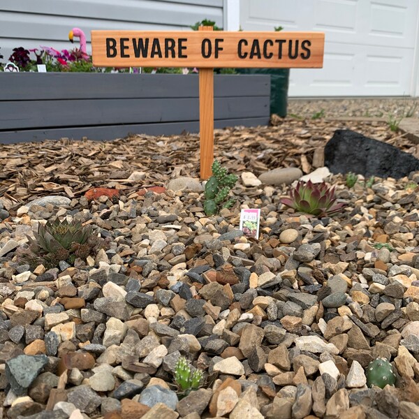Beware of Cactus Sign, Caution Marker, Outdoor Sign, Yard Art, Cactus ...