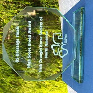 Custom Round Award Appreciation Award Retirement Award End of the Year ...