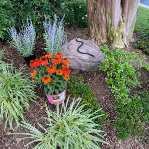 Sneaky Snake Hand Forged Garden Ornament-great for Scaring Birds Away ...