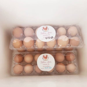 Personalized Chicken Egg Stickers/ Carton Labels/ Farm Egg - Etsy
