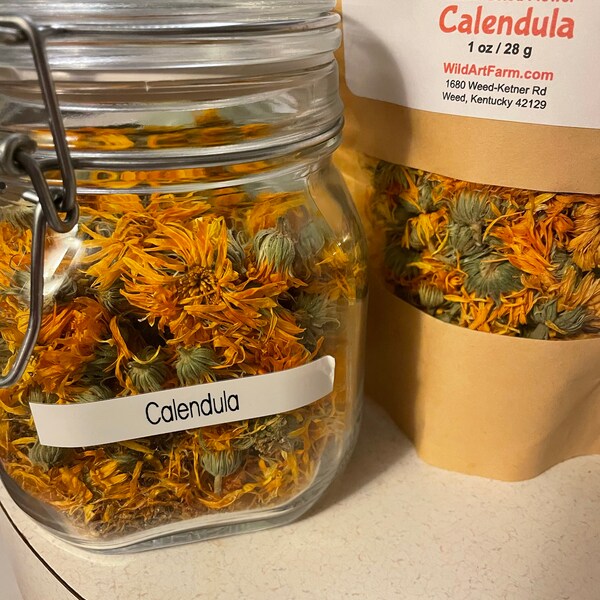 Holiday Spilanthes Buzz Button Flowers - Tingle Bells & Electric Love ...