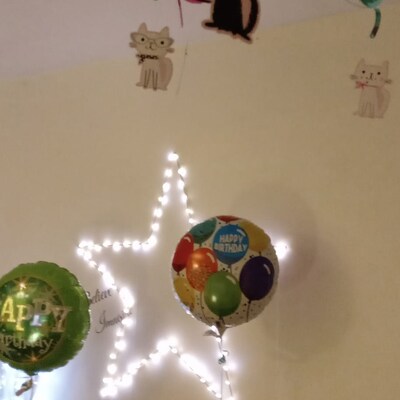 Kitty Cat Party Banner, Kitty Cat Party Bunting, Kitty Cat Party ...