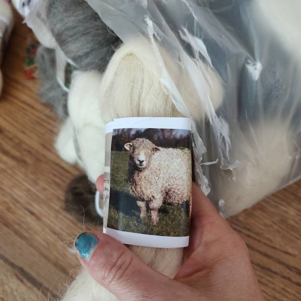 40 Sheep Breed Study Samples - Combed Top Wool Fibre - 1 Kilo - Etsy