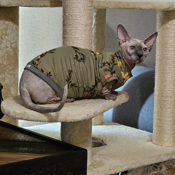 Snuggle Bed, Cat Sleep Sack, Sleeping Bag, Pet Sleeping Bag, Pet ...