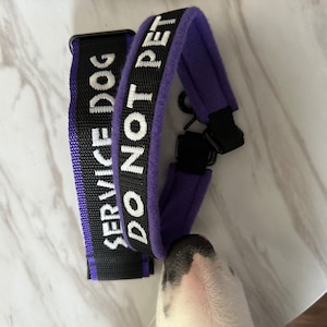 Patch Collar, Hook and Loop, Tactical Collar, Search and Rescue, Do Not ...