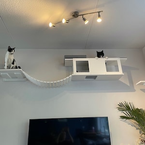 Wally Cornerbox Cat Shelf Cat Box Wall Mounted Cat Bed - Etsy