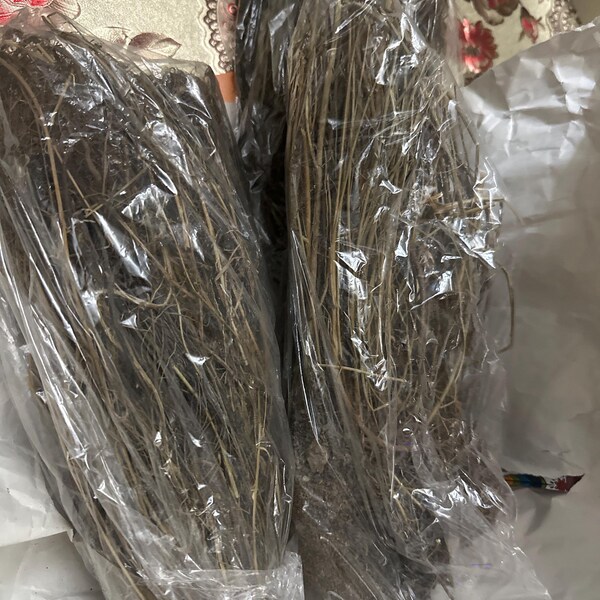 Palm Kernel Nuts, Palm Kernel Seeds, Palm Fruit Seeds, Aki West African ...