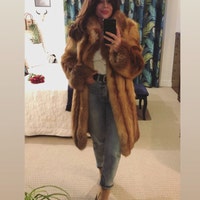 Red Fox Pelt Soft Mount Taxidermy Fox Skin Medieval Cosplay Costume ...