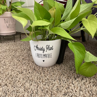Anxiety Plant Pot - Etsy